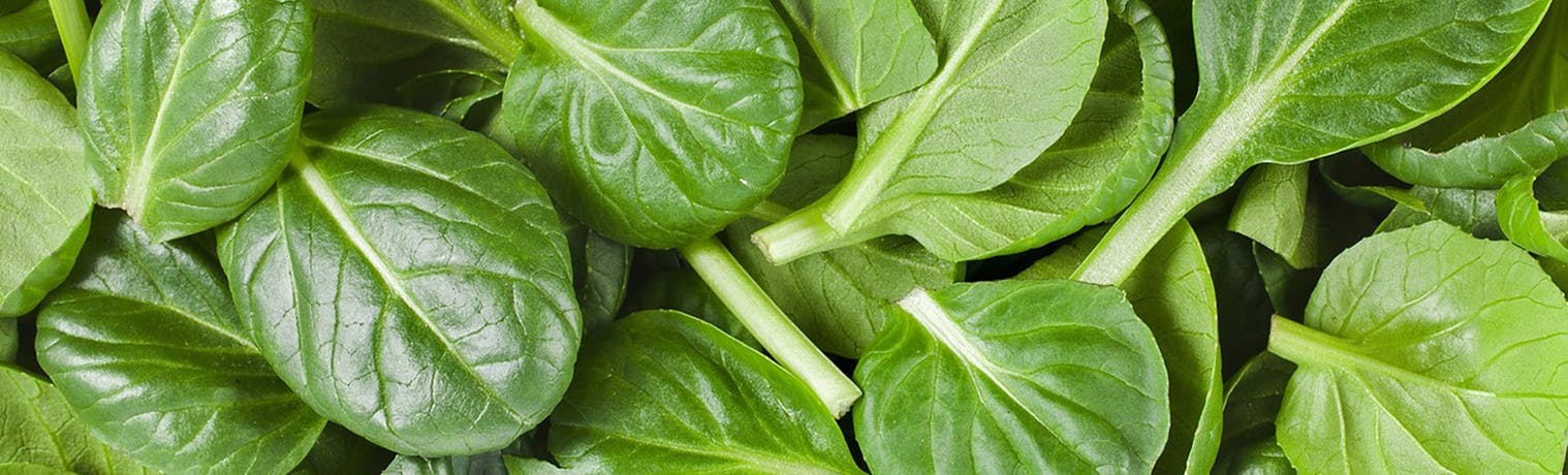 Bonduelle Spinach Leaf Portions (Frozen) | 🦆The Bow Tie Duck Manila