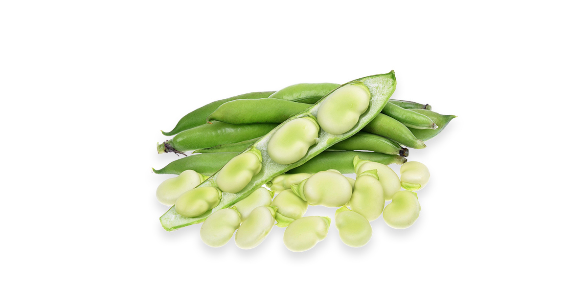 Pasfrost Faba Beans (Frozen) | 🦆The Bow Tie Duck Manila