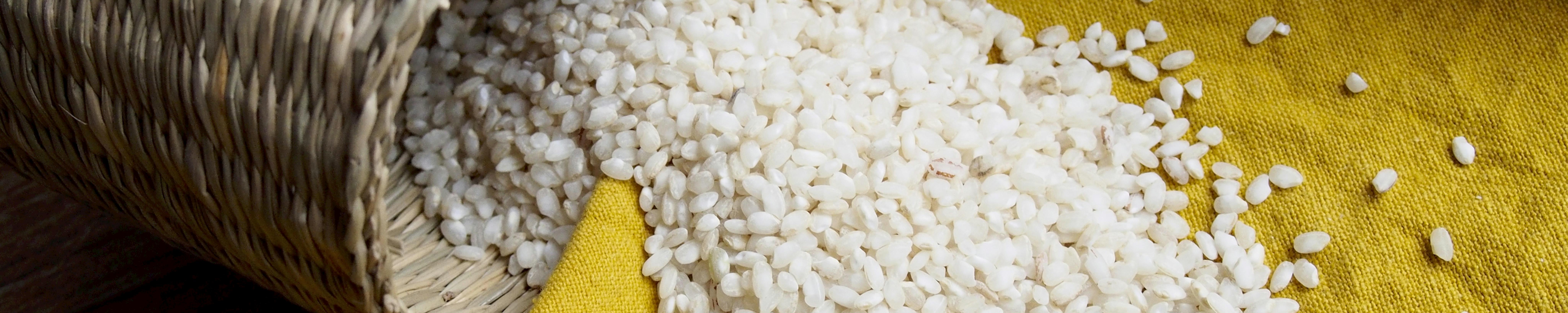 Bomba Rice | 🦆The Bow Tie Duck Manila