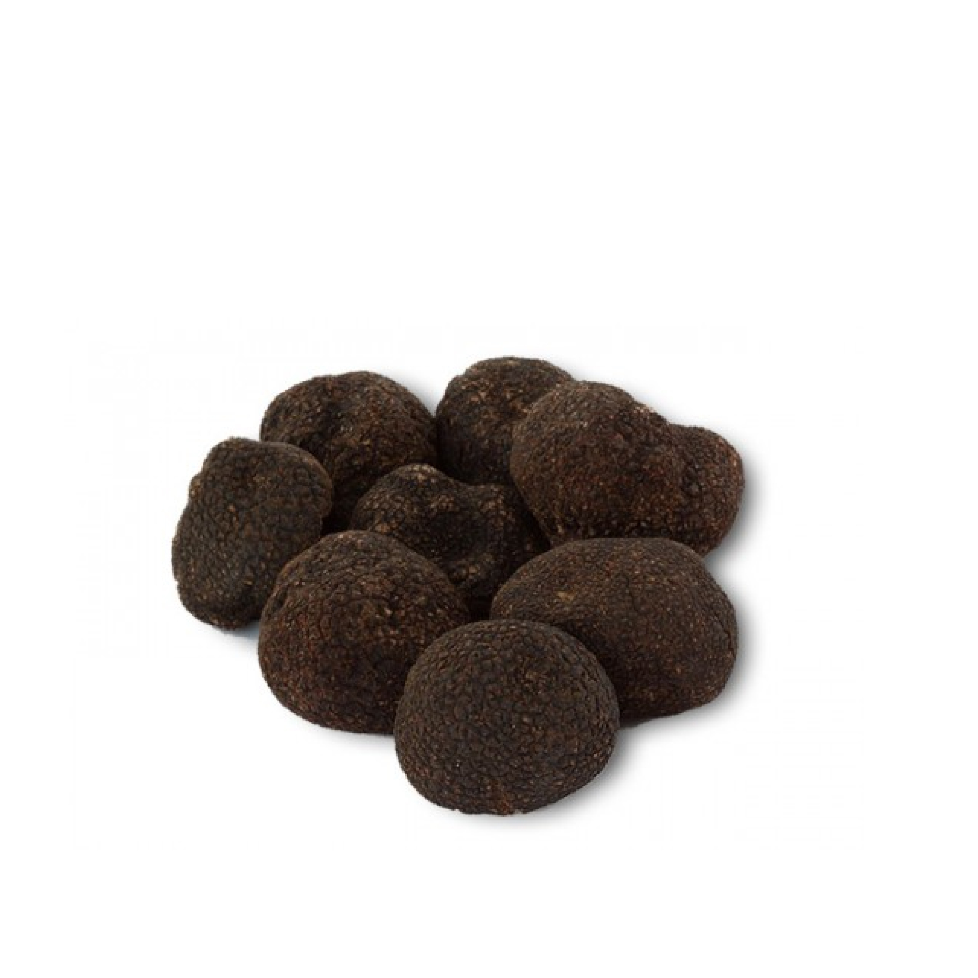Fresh Black Truffles (Tuber Melanosporum Vitt.) | 🦆The Bow Tie Duck Manila