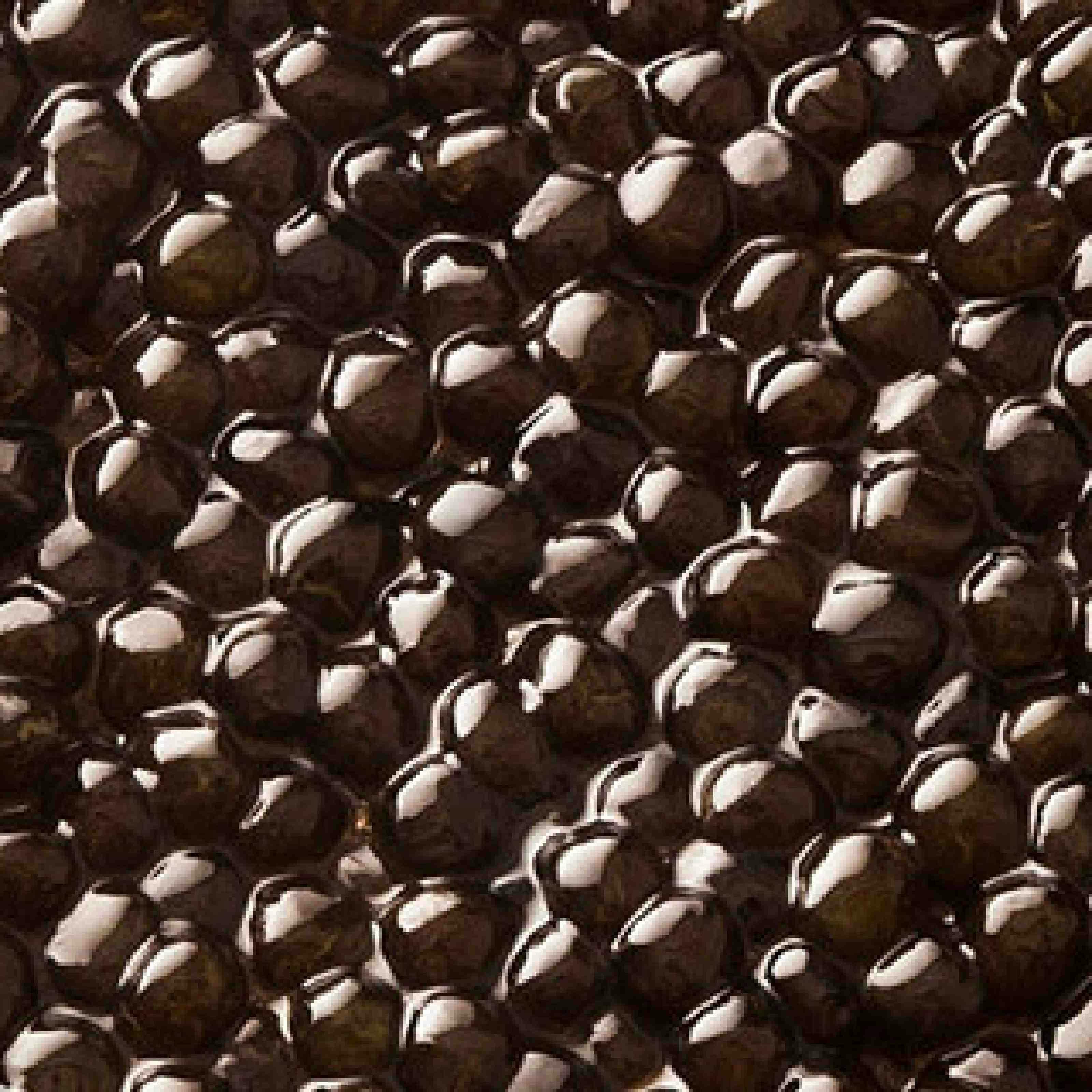 Kaviari Baeri Royal Caviar | 🦆The Bow Tie Duck Manila