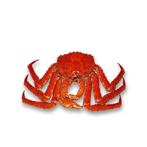 Live Seafood - King Crabs | 🦆The Bow Tie Duck Manila