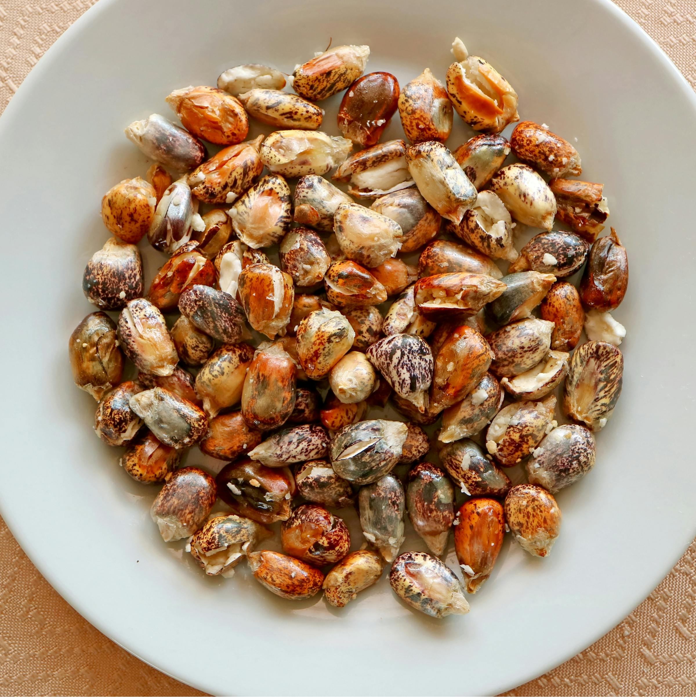 Maiz Cancha (Dried Corn Cancha) | 🦆The Bow Tie Duck Manila